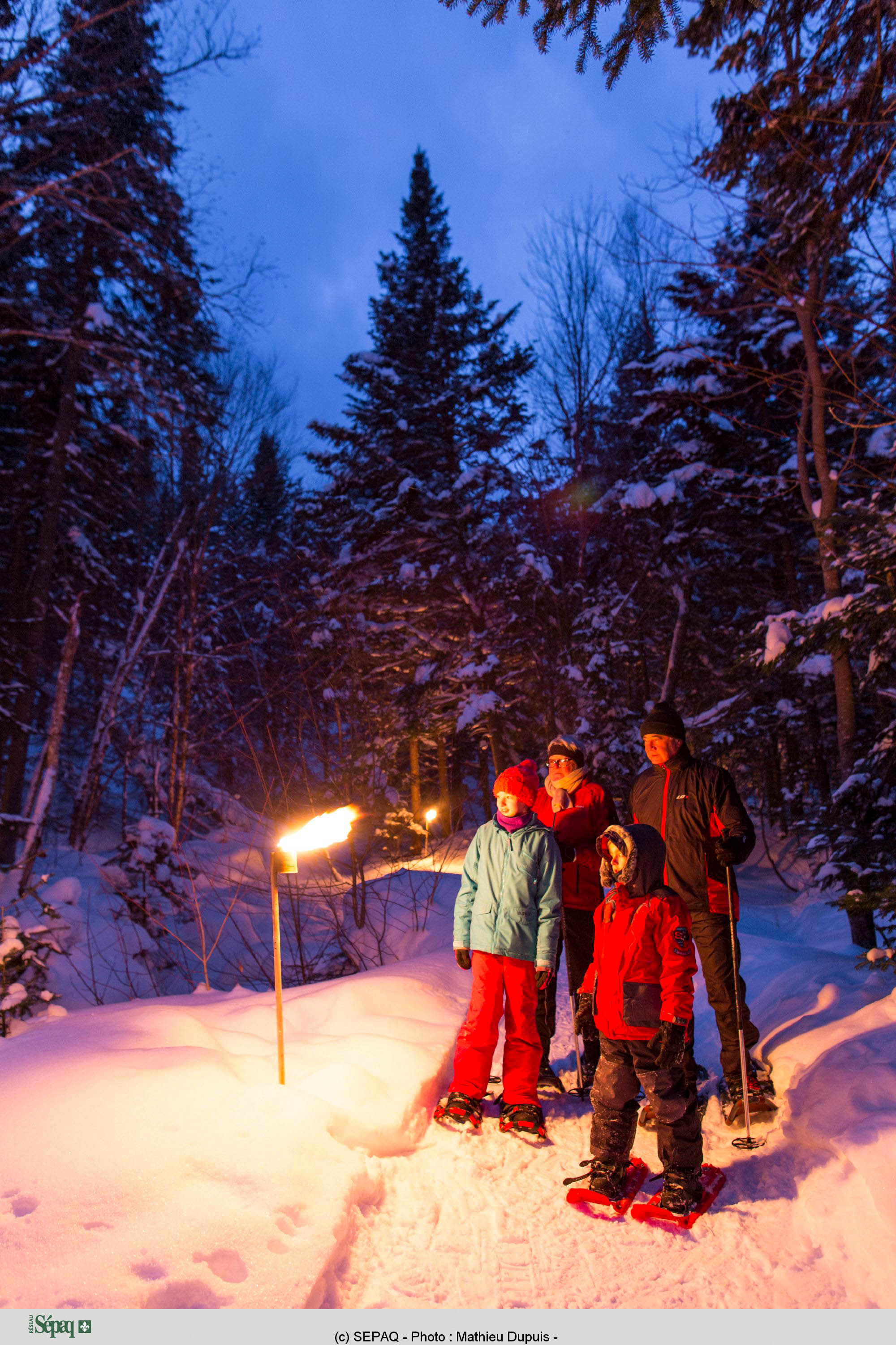 Parc national du Mont-Mégantic | Québec's national park | Notre-Dame ...