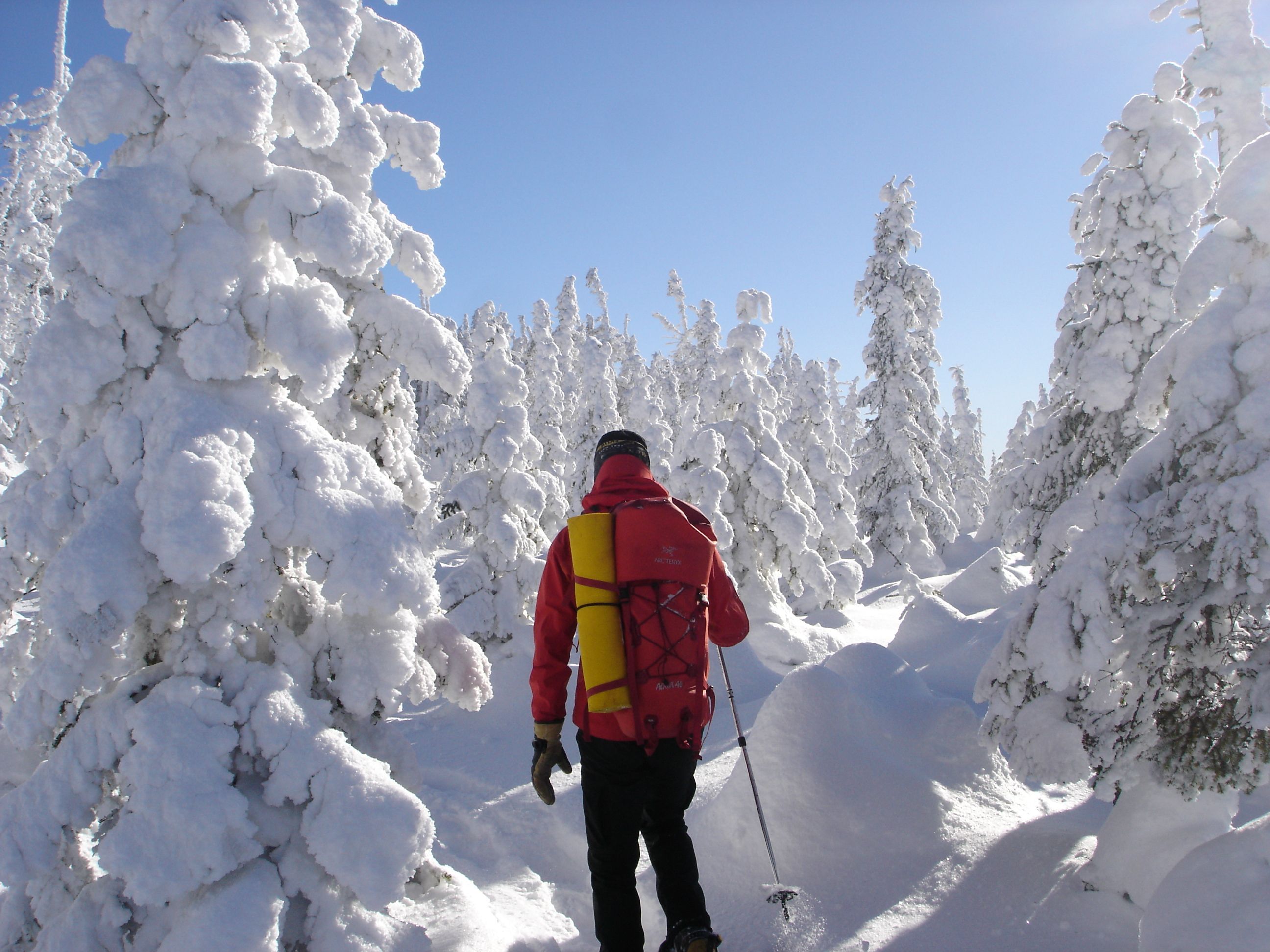 Activités Éco Plein Air | Adventure and outdoor sports | Saint-Raymond ...