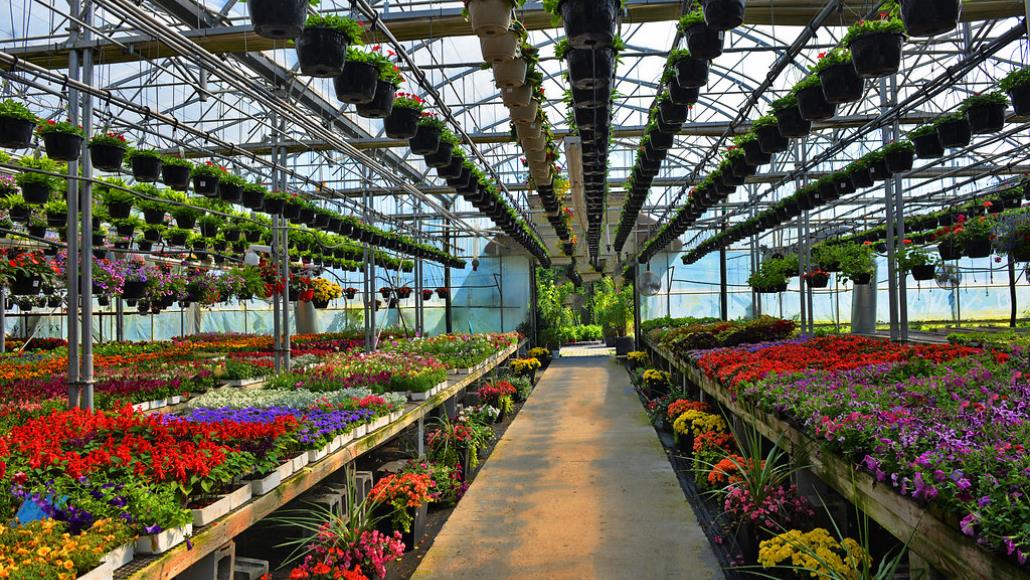 Les Serres Sylvain Cléroux - Tourisme Laval