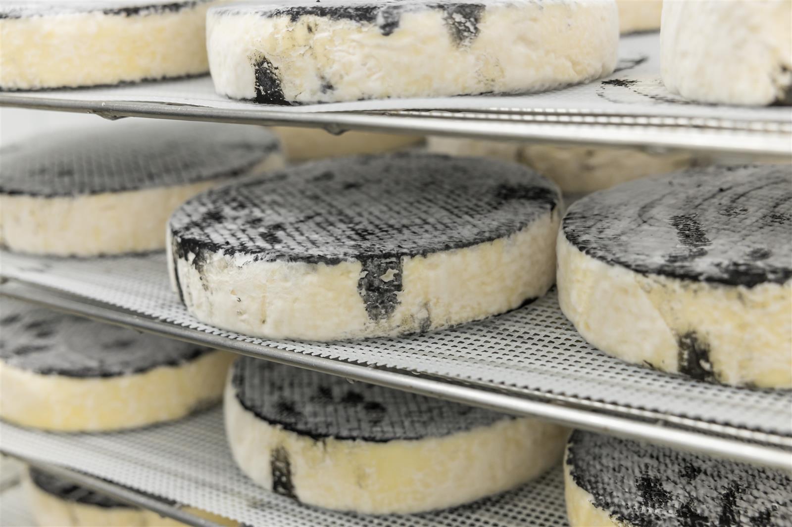 Fromagerie Le Fromage au Village inc. - Tourisme Abitibi-Témiscamingue