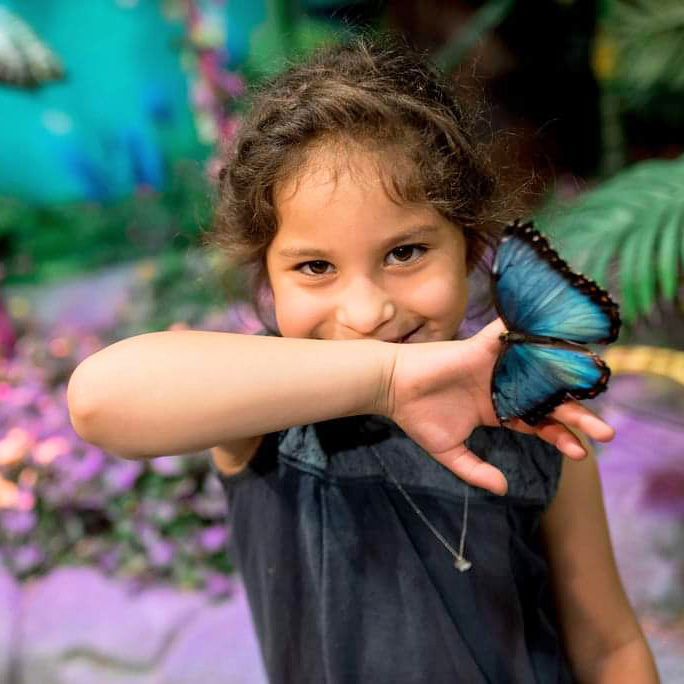 BFLY Laval - Tourisme Laval