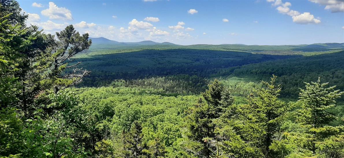 Sentiers de Piopolis - Piopolis | Cantons-de-l'Est (Estrie)