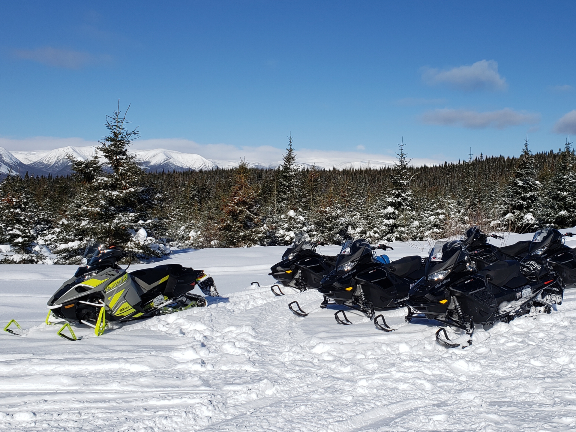 Aventure Nord Québec Organisation inc. | Travel agency | Piedmont ...