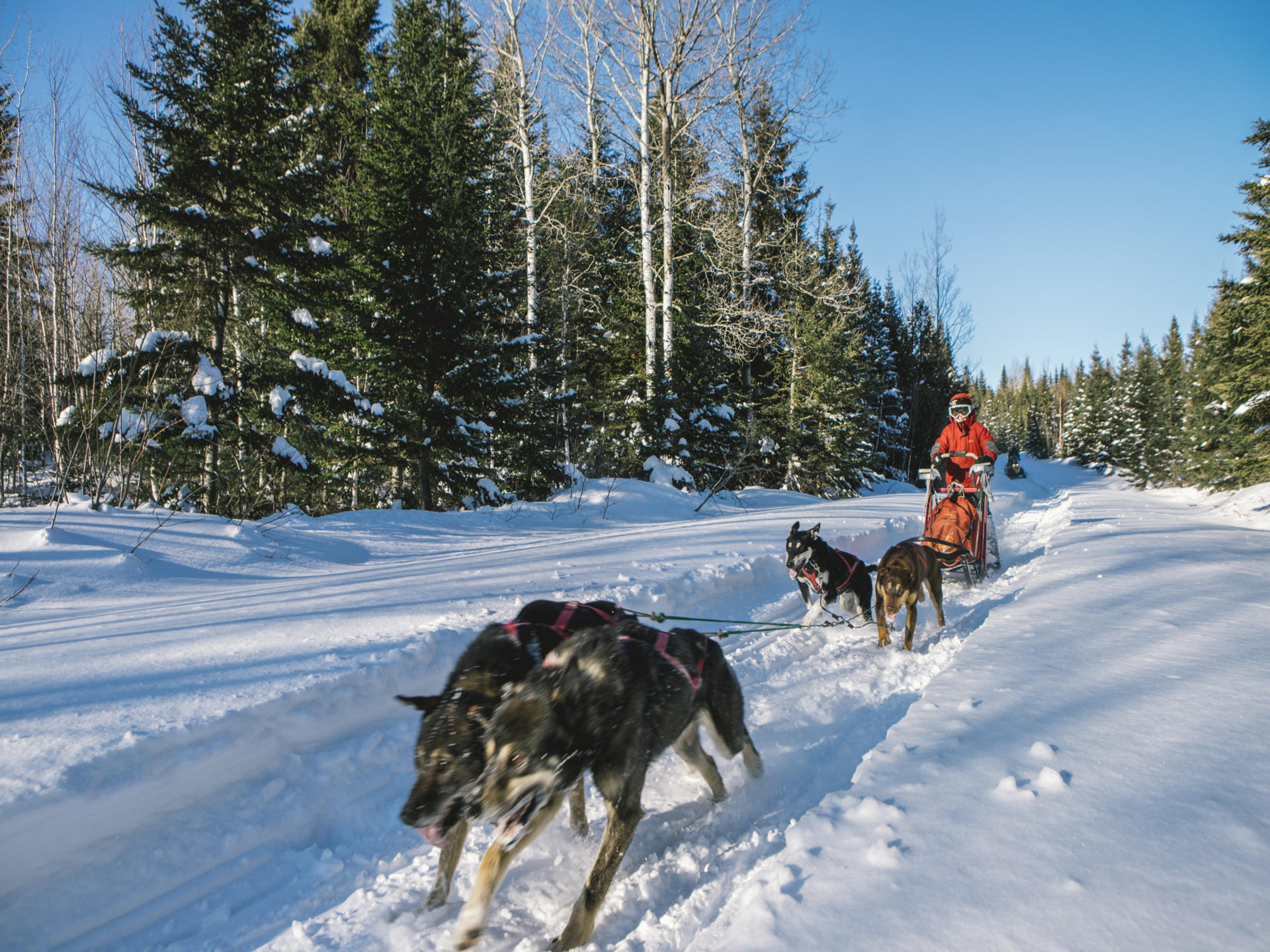 Aventure Pattes blanches | Adventure and outdoor sports | Saint-Ulric ...