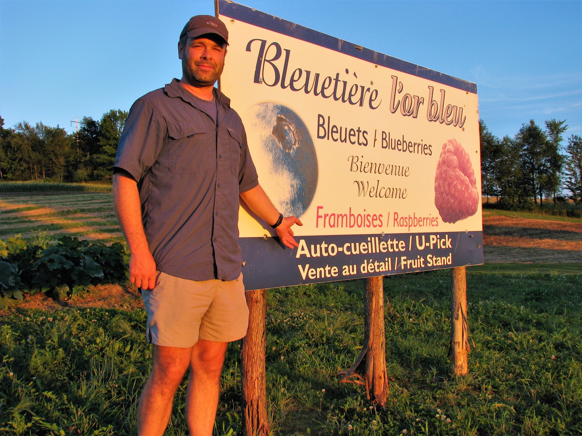 Bleuetière l'or bleu | Culture de petits fruits | Stanstead-Est ...