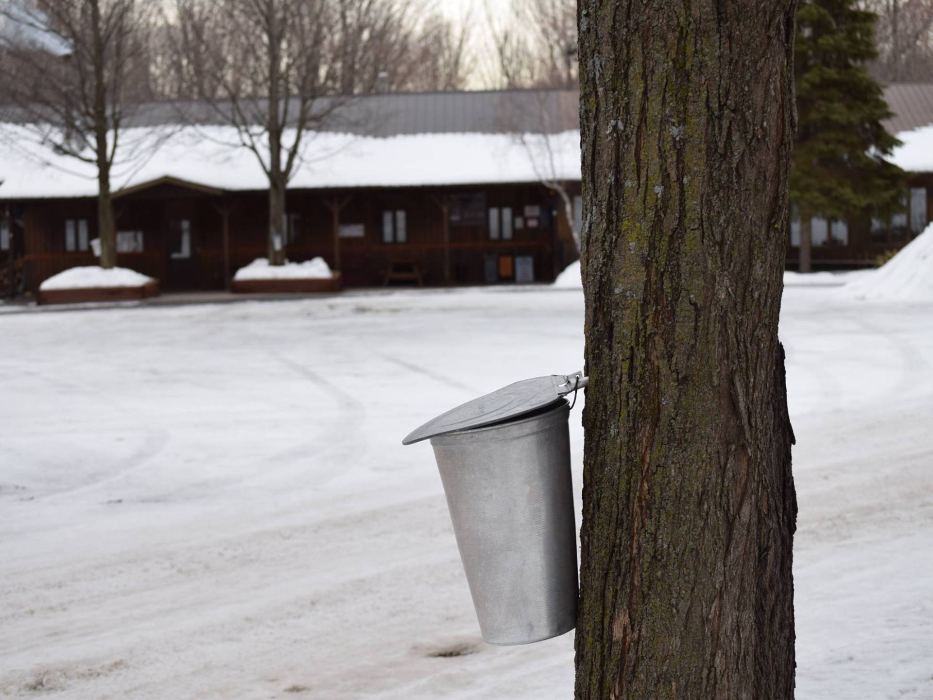 Cabane à sucre l'Hermine | Sugar shack | Havelock | Bonjour Québec