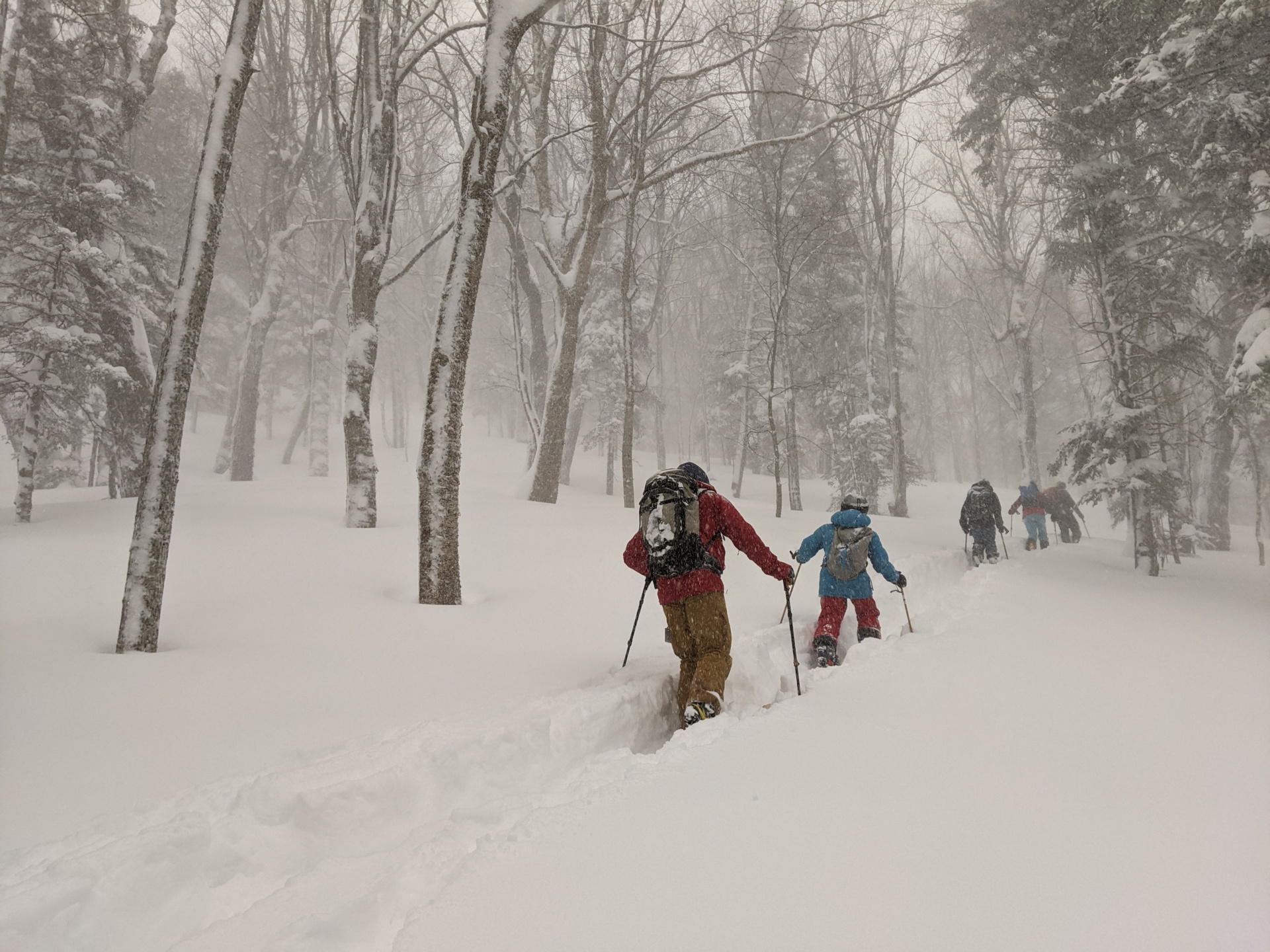 Cap Castor Ski hors piste | Adventure and outdoor sports | Sainte-Anne ...