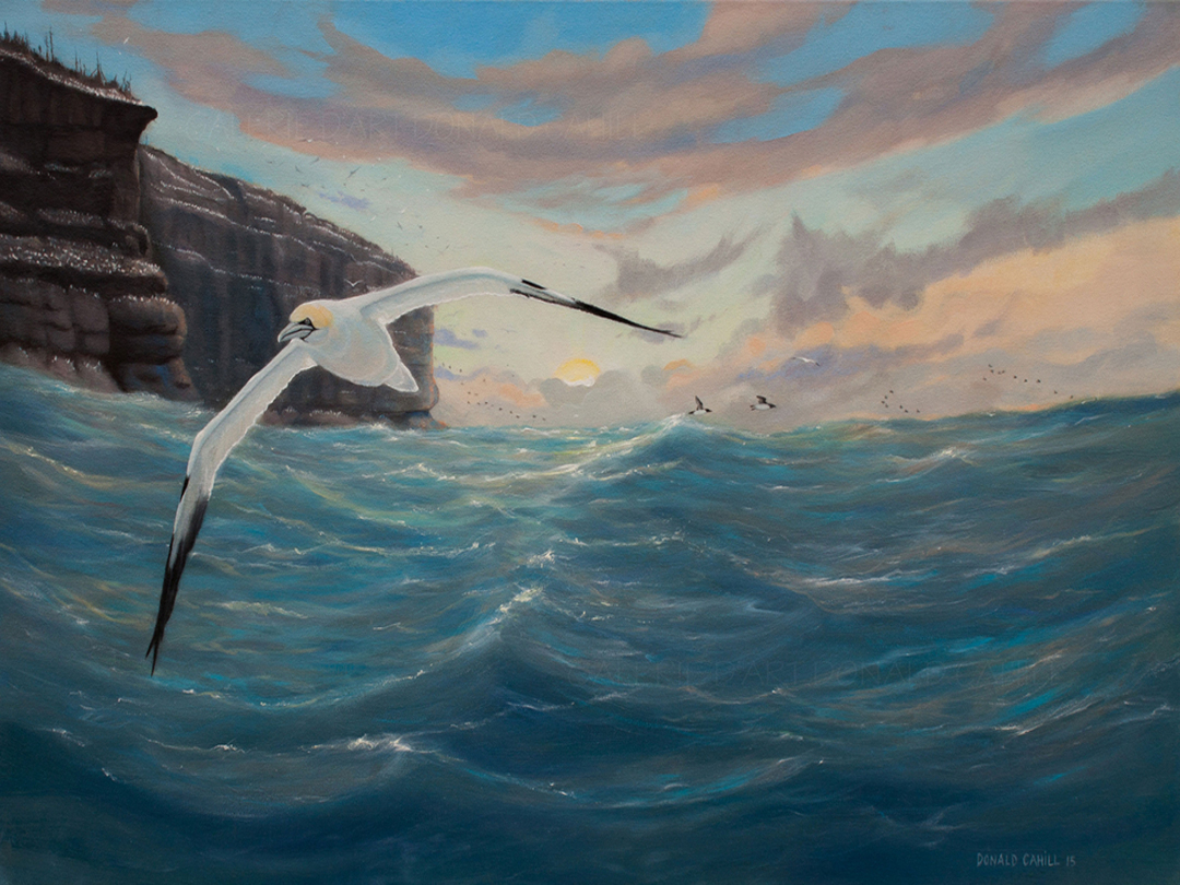 Galerie d'art Donald Cahill | Art gallery | Percé | Bonjour Québec