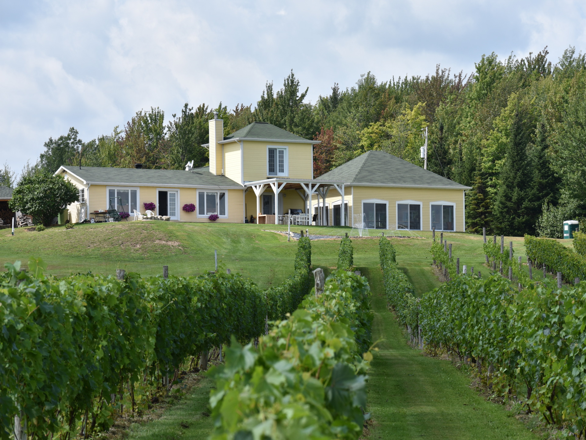 Vignoble Les Côtes du Gavet | Vignoble | Tingwick | Bonjour Québec